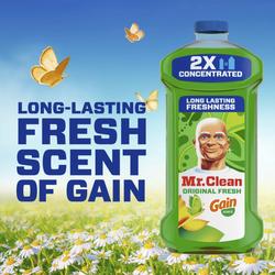 Mr. Clean® Concentrated Gain Original Multi Surface Cleaner - 41 oz. at ...