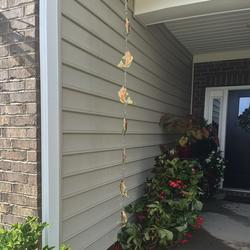 Enchanted Garden™ 6' Metal Fish Rain Chain at Menards®