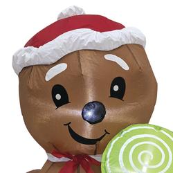 Enchanted Forest® 4' LED Vintage Gingerbread Man Christmas Inflatable ...