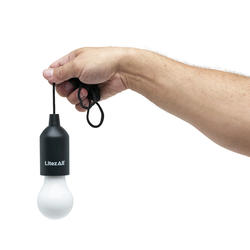 LitezAll Battery Operated LED Pull String Light at Menards®