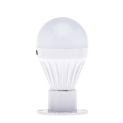 LitezAll Battery Operated LED Porta Bulb at Menards®