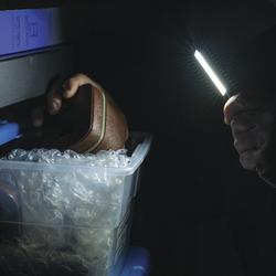 LitezAll® Blip 100 Lumen Handheld LED Work Light- 2 Pack at Menards®