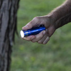 LitezAll® 100 Lumen COB LED Aluminum Pocket Flashlight - 6 pack at Menards®