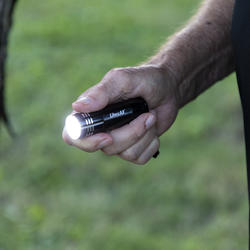 LitezAll® 100 Lumen COB LED Aluminum Pocket Flashlight - 6 pack at Menards®