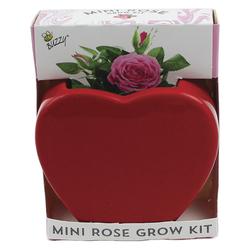 Mini Rose Grow Kit at Menards®