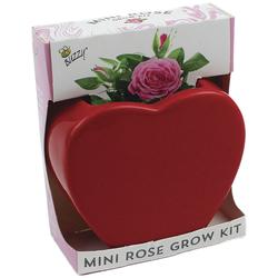 Mini Rose Grow Kit at Menards®