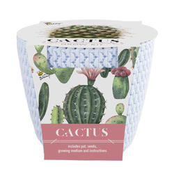 Buzzy® Cactus Grow Kit at Menards®