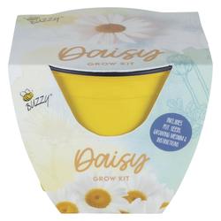 Buzzy® Daisy Grow Kit at Menards®