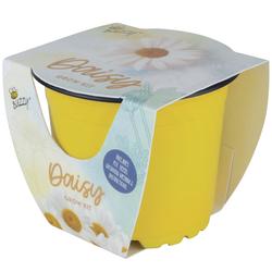 Buzzy® Daisy Grow Kit at Menards®