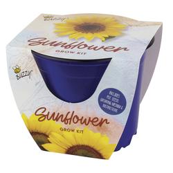 Buzzy® Sunflower Grow Kit at Menards®