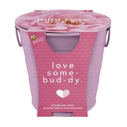 Buzzy® Mini Rose Grow Kit at Menards®