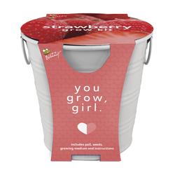 Buzzy® Strawberry Grow Kit at Menards®