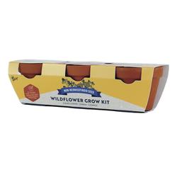 Buzzy® Pollinator Wildflower Grow Kit - 3 Pack at Menards®
