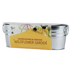 Buzzy® Pollinator Windowsill Grow Kit at Menards®