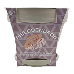 Philodendron Granite Terra Cotta Pot Grow Kit at Menards®