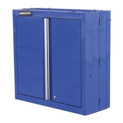 Masterforce® 30-1/2"W x 30"H x 12-3/8"D Blue 2-Door Wall Garage Storage ...