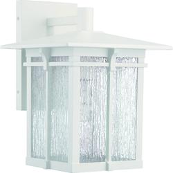 Patriot Lighting® Wren White Outdoor Wall Light at Menards®