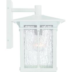 Patriot Lighting® Wren White Outdoor Wall Light at Menards®