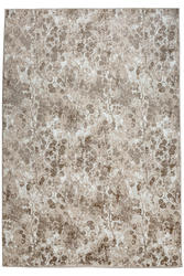 Radici USA Livigno Beige 3' x 5' Area Rug at Menards®