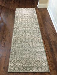 Radici USA Colosseo Green 2'2" x 7'7" Area Rug at Menards®