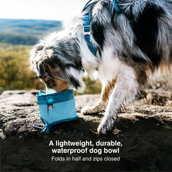 Kurgo® Barn Red Zippy Dog Bowl at Menards®