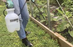 Chapin™ SureSpray™ 1 Gallon Tank Sprayer at Menards®