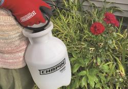 Chapin™ SureSpray™ 2 Gallon Tank Sprayer at Menards®
