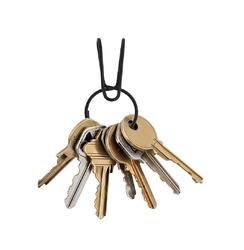 Nite Ize® Squeeze Ring Easy Load Key Clip - Black at Menards®