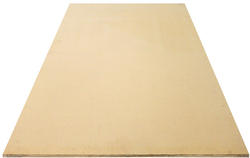 1/2 x 4 x 8 2-Sided MDO Plywood at Menards®