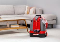 Rug Doctor® Pro Portable Detailer and Spot Cleaner 24-Hour Rental at ...