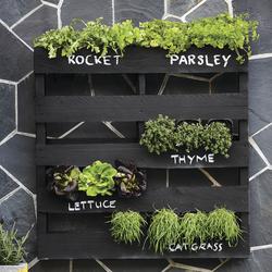 Rust-Oleum Specialty Black Chalkboard Paint - Quart at Menards®
