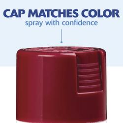 Rust-Oleum® Painter's Touch® 2X Ultra Cover® Gloss Cranberry General ...