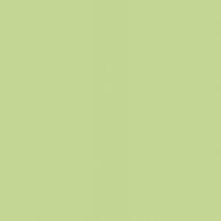 Rust-Oleum® Painter's Touch® 2X Ultra Cover® Satin Green Apple General ...
