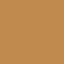 Rust-Oleum® Painter's Touch® 2X Ultra Cover® Satin Warm Caramel General ...