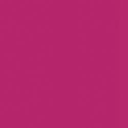 Rust-Oleum® Painter's Touch® 2X Ultra Cover® Satin Magenta General ...