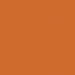 Rust-Oleum® Painter's Touch® 2X Ultra Cover® Satin Rustic Orange ...