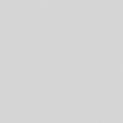 Rust-Oleum® Professional Cold Galvanizing Compound Spray Paint - 20 oz ...