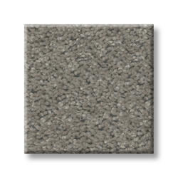 Shaw® Huntington Prodigy Plush Carpet 15 ft. Wide at Menards®