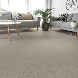 Shaw® Keystone Basis Frieze Carpet 12ft. Wide at Menards®