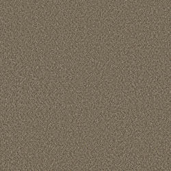 Shaw® Keystone Crown Frieze Carpet 12ft. Wide at Menards®