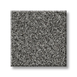 Shaw® Pet Perfect + Fusion II Network Frieze Carpet 12ft. Wide at Menards®