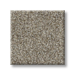 Shaw® PetPerfect+ Fusion I Compound Frieze Carpet 12ft. Wide at Menards®