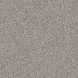 Shaw® Winfield II Plymouth Rock Frieze Carpet 15 ft. Wide at Menards®