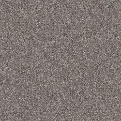 Shaw® Winfield II Dolphin Fin Frieze Carpet 15 ft. Wide at Menards®