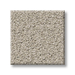 Shaw® Trancend I Desert Lily Frieze Carpet 12 ft. Wide at Menards®
