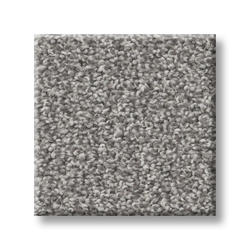 Shaw® Trancend II Arbor Frieze Carpet 12 ft. Wide at Menards®