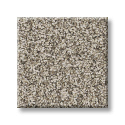 Shaw® Pet Perfect + Fusion II Access Frieze Carpet 12ft. Wide at Menards®