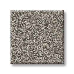 Shaw® Pet Perfect + Fusion II Unite Frieze Carpet 12ft. Wide at Menards®