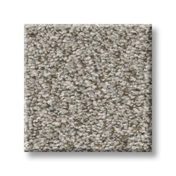 Shaw® Tellico Ivory Silk Frieze Carpet 12 ft. Wide at Menards®