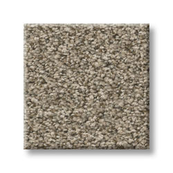 Shaw® Tellico Warm Sand Frieze Carpet 12 ft. Wide at Menards®